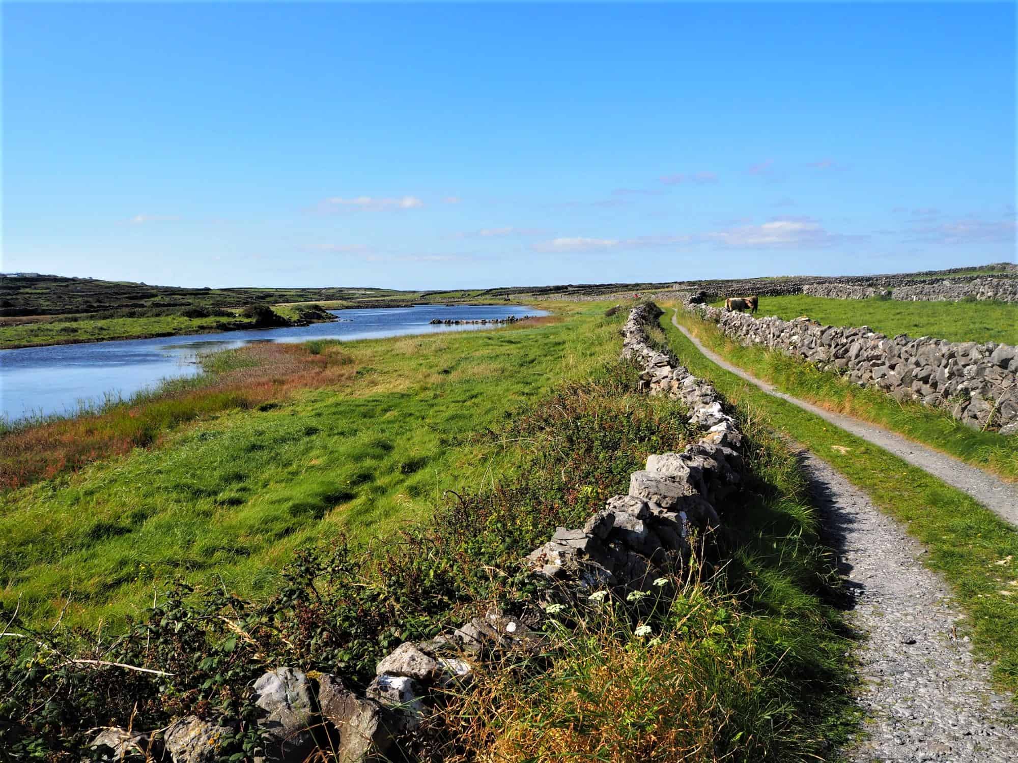 Guide Pratique : Visiter les îles d'Aran - Jen On The Road